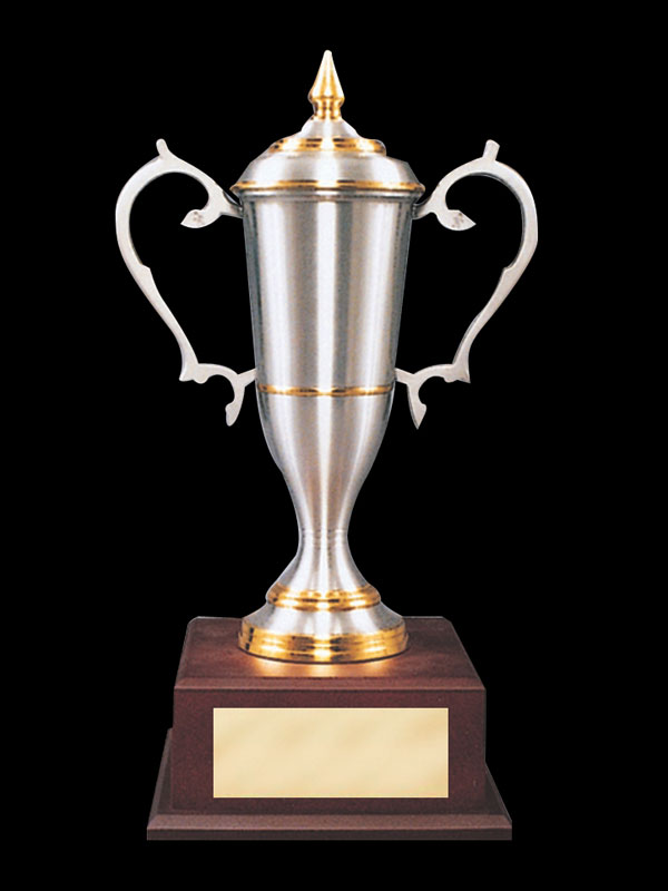 Pewter Trophies & Awards | Pewter Trophy Supplier in Malaysia