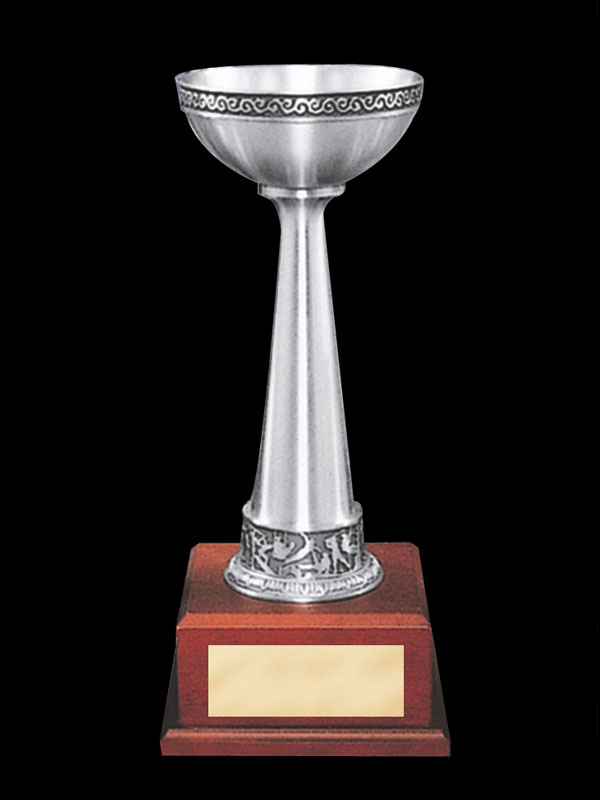 Pewter Trophies & Awards | Pewter Trophy Supplier in Malaysia