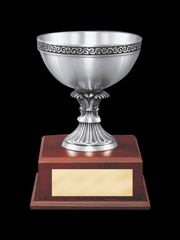 Pewter Trophies & Awards | Pewter Trophy Supplier in Malaysia